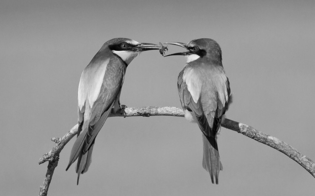 How NodeJS requires native shared objects | by Eugene Obrezkov | Eugene ...