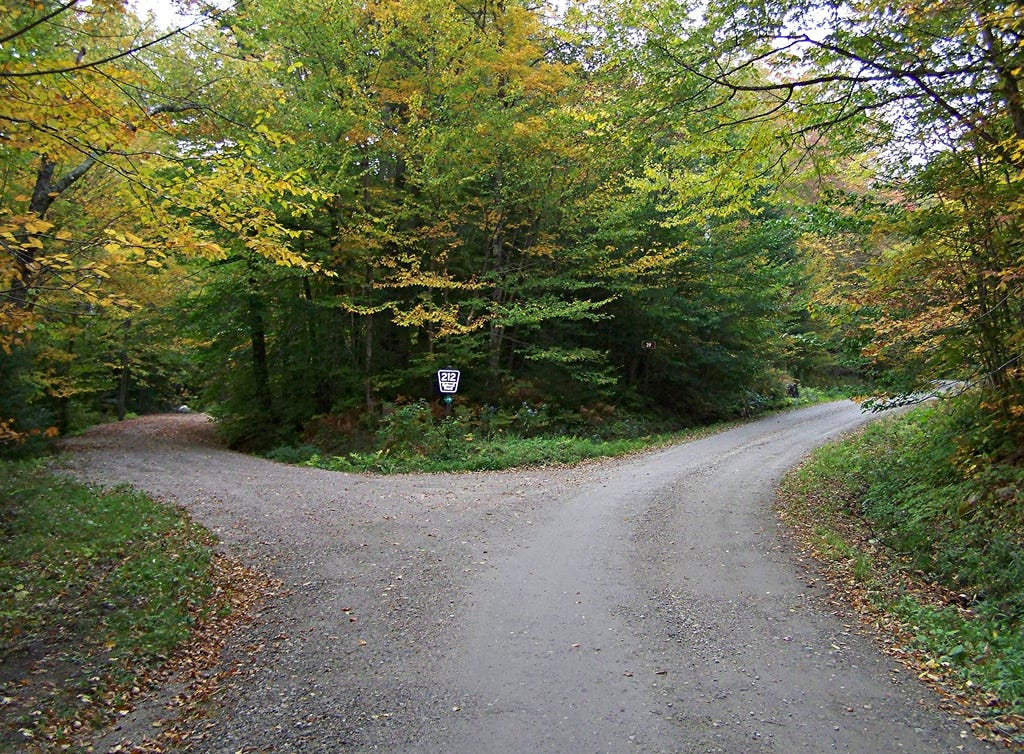 ProxySQL Setup: Simplifying MySQL Read and Write Operations | by ...