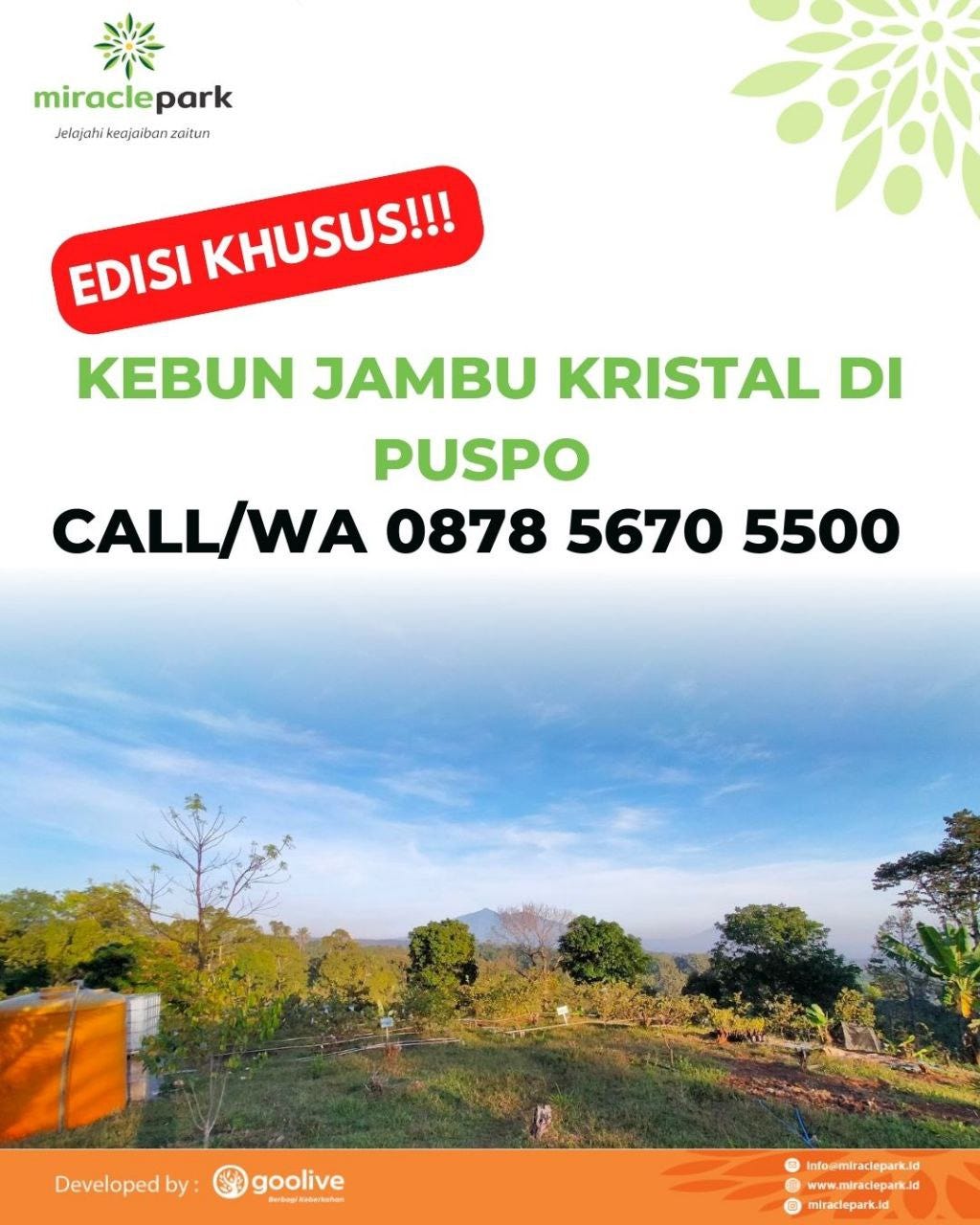 Edisi Khusus, Call 087716485000, Kebun Jambu Kristal di Puspo ...