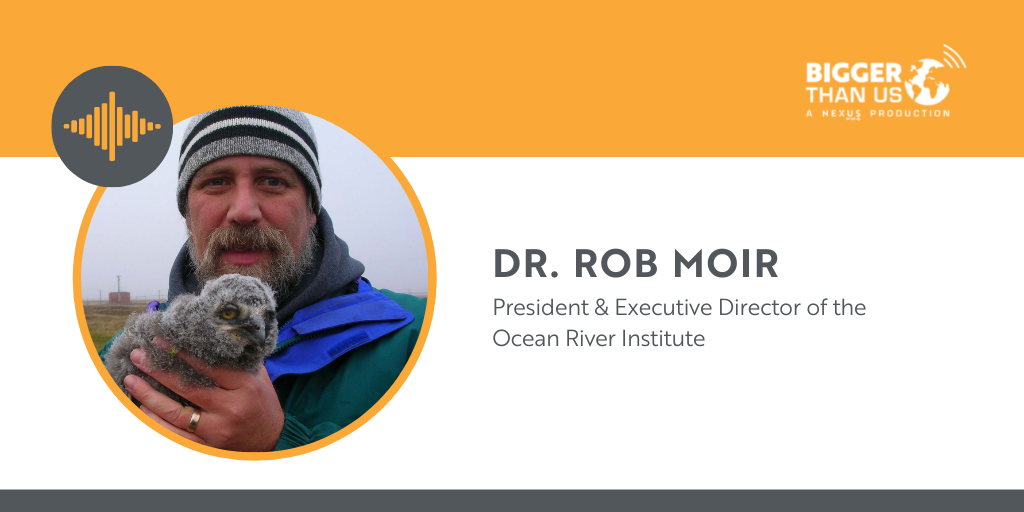 Windward Action with Dr. Rob Moir, President & Executive Director of ...