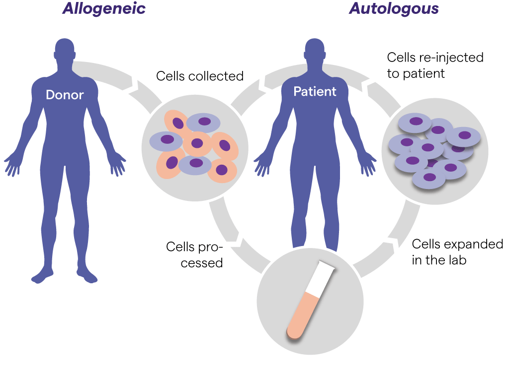 Cell Therapy: How it Works and the Future of Treatment | by Sumedha ...