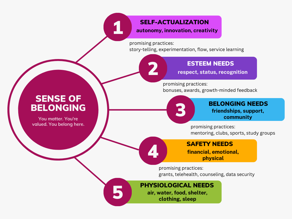 Sense of Belonging: Changing Institutions, Not Just Individuals | by ...