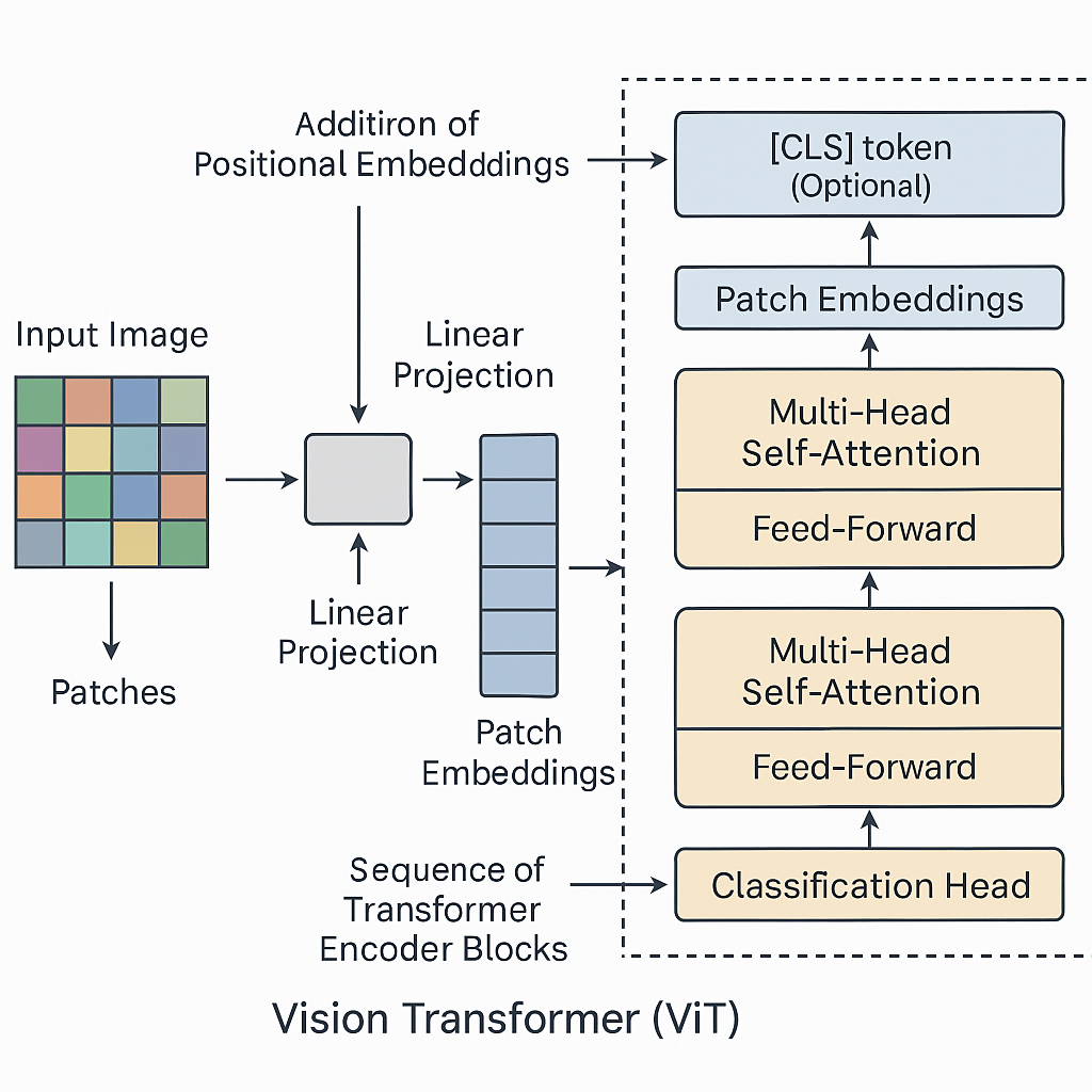 Vision Transformer (ViT) Architecture Showdown | by Saqib Khan | Jul, 2025 | Medium
