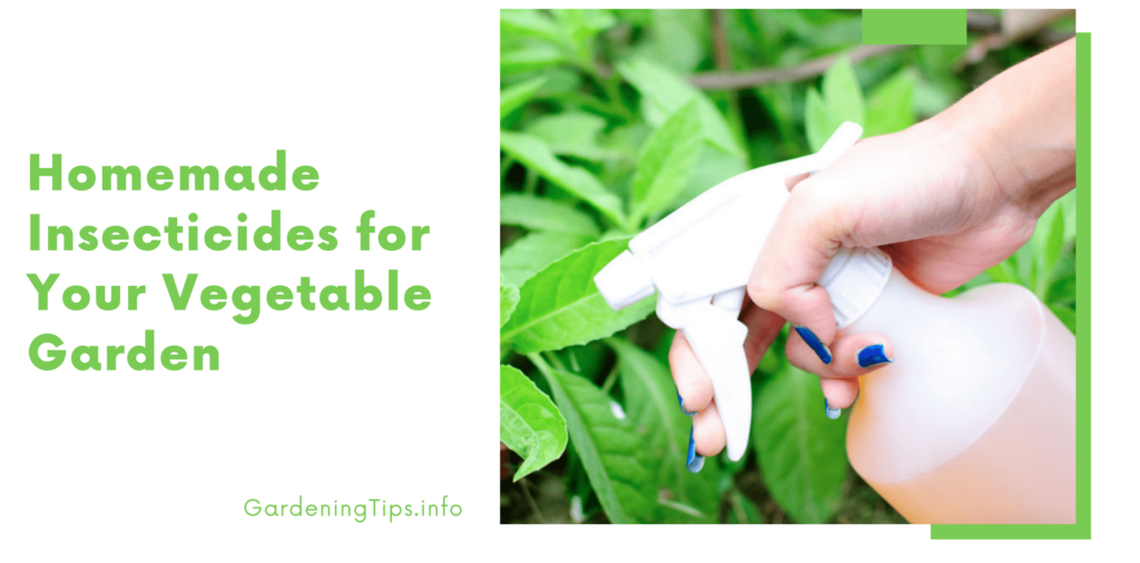 Homemade Insecticides for Your Vegetable Garden — Gardening Tips ...