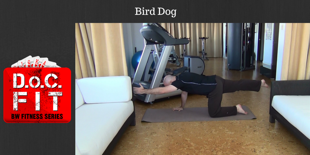 Bodyweight Exercise of the Week. Core Exercise : Bird Dog | by Guy | Medium