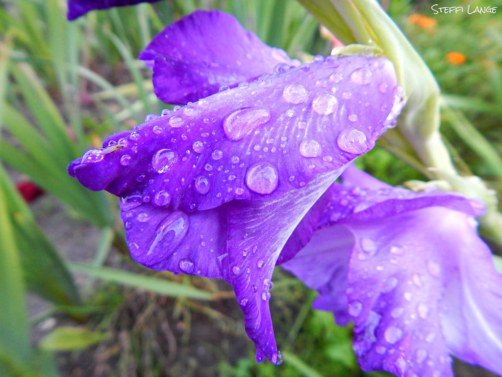 Safety in Intimacy. In my experience, the things that most… | by Corey ...