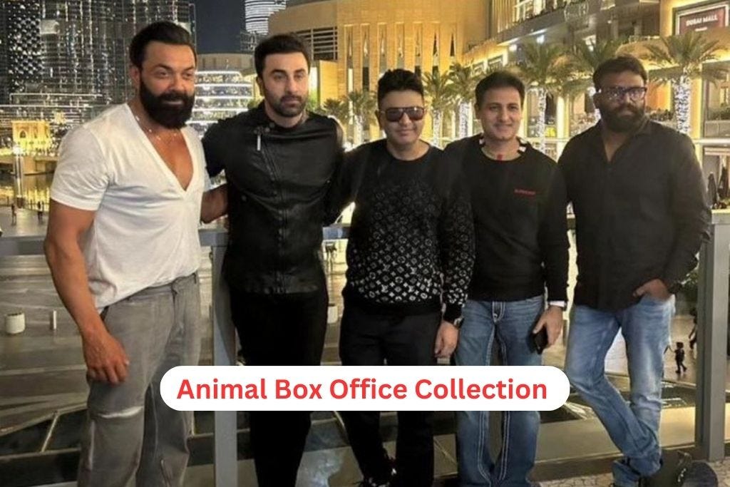 Animal Box Office Collection - Enjoy Taaza - Medium