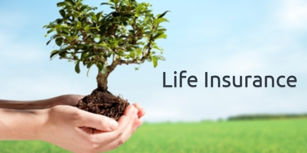 Know about Life Insurance Plans. The IBISWorld Market Research Report ...