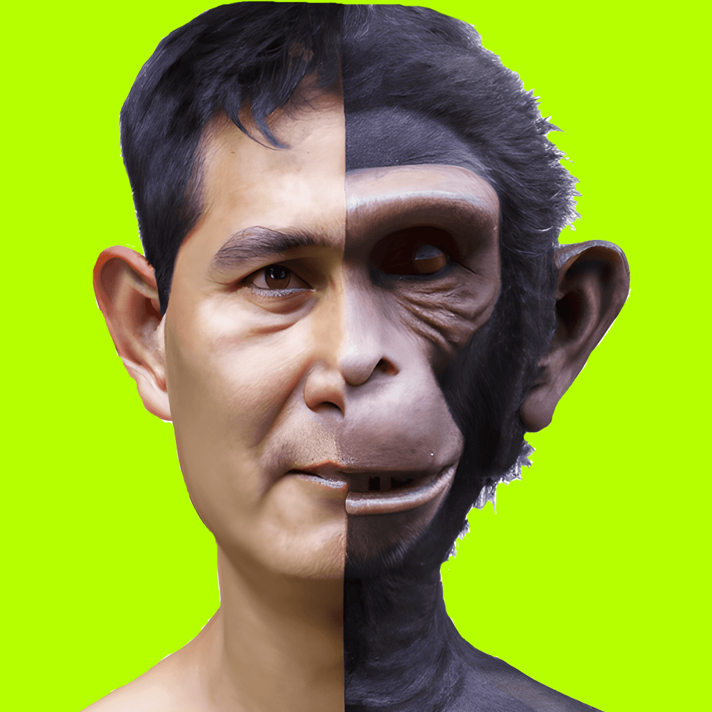 Anthropology,funny story,article ,evolution | Medium