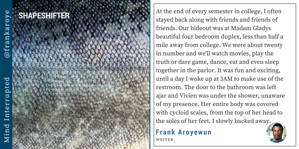 Chapter 29: Shapeshifter | by Frank Aroye | Medium