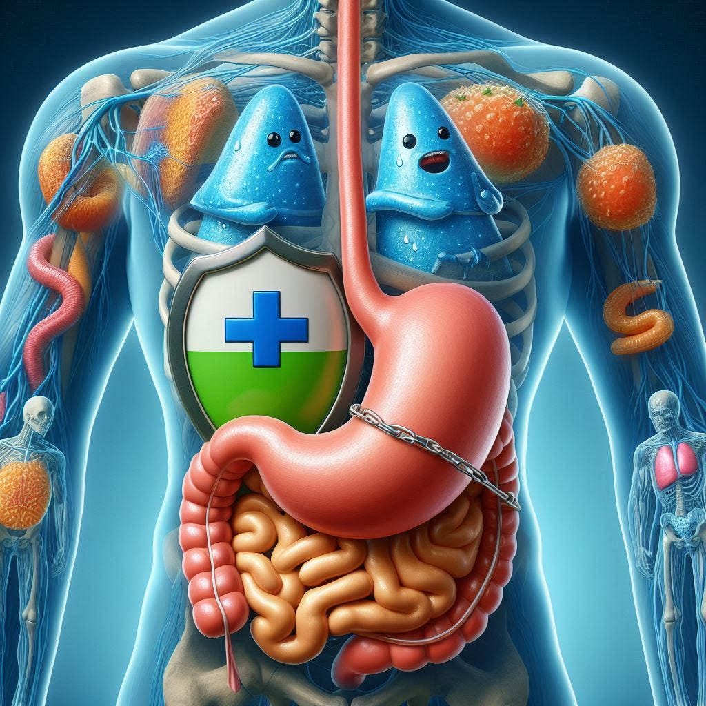 Why doesn’t the stomach digest itself? | by Ayush Agrawal | Medium