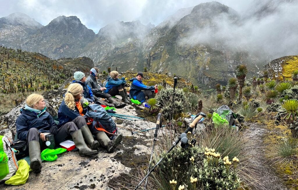 3 Peaks Expedition Challenge to Mount Speke, Stanely & Baker | by ...