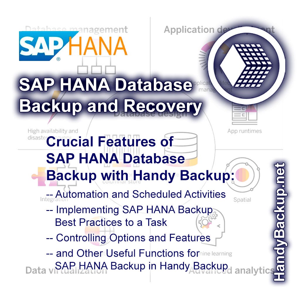 SAP HANA Database Backup and Recovery - Handy Backup - Medium