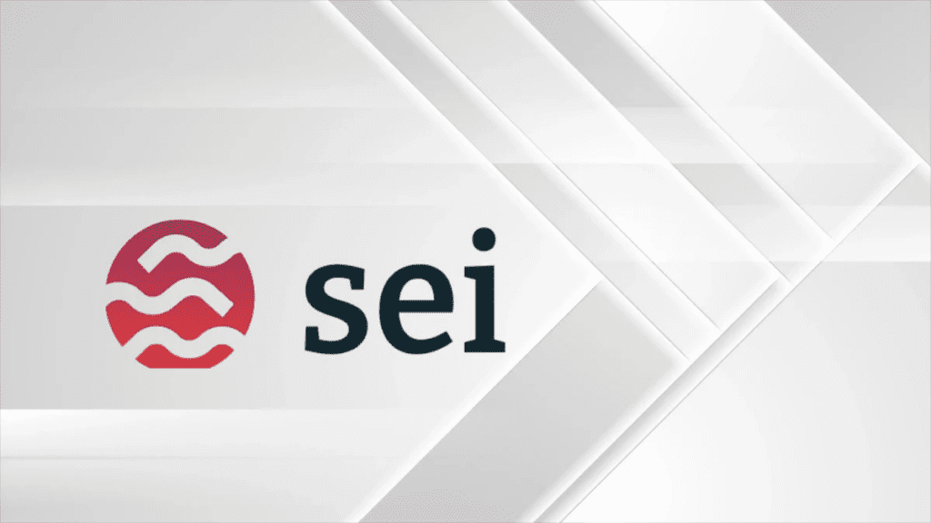 SEI Network - Powering the Future of Digital Transactions. | by RICARDO ...