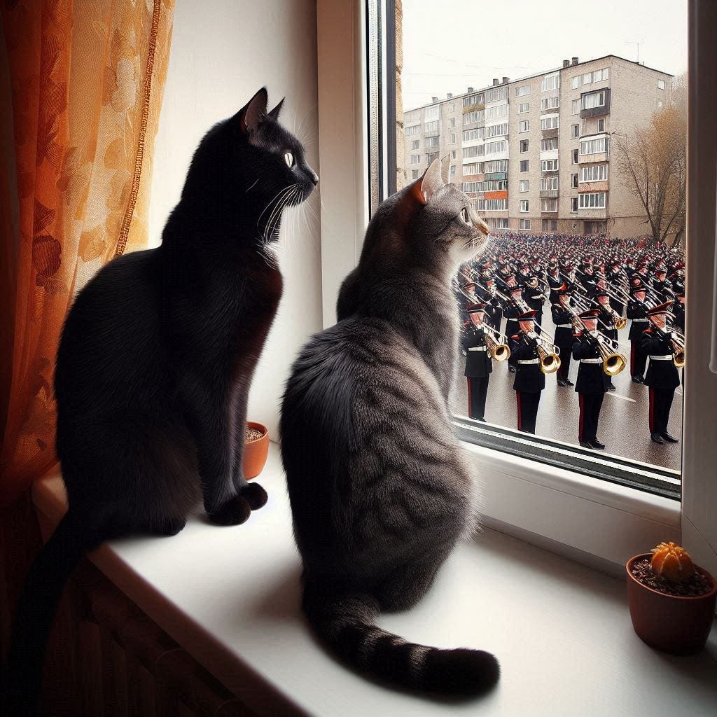 A March to Remember. The purrformance of a lifetime | by Anna ...