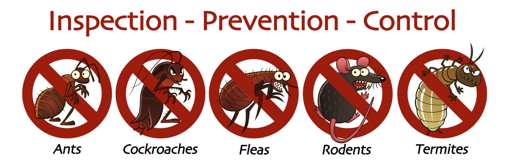 Your Kitchen needs an Eco- Friendly Pest Control | by Pest Cure | Medium