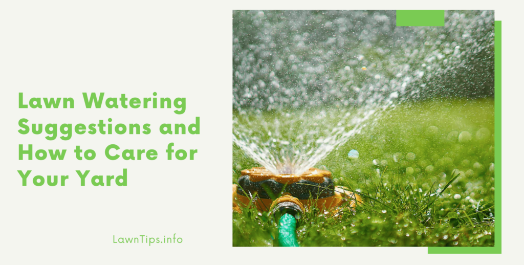 Lawn Watering Suggestions and How to Care for Your Yard - Lawn tips ...