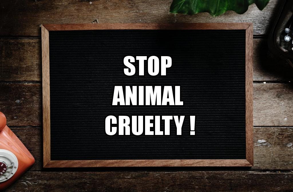 Stop Animal Cruelty Signs
