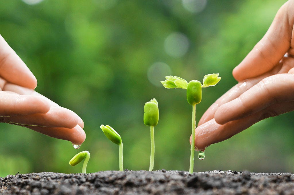 Caress. Knots are there in everyone, And… | by pradeepta mohanty | Medium