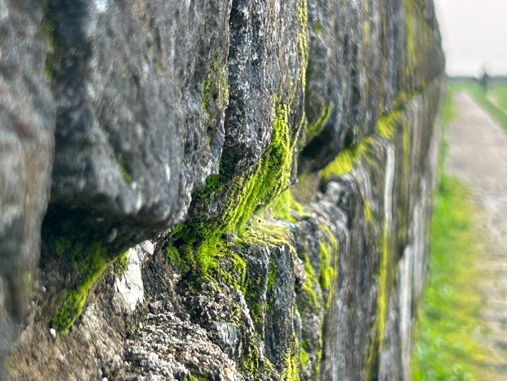 Drafting Me.. | by Yohan Fernando | Medium