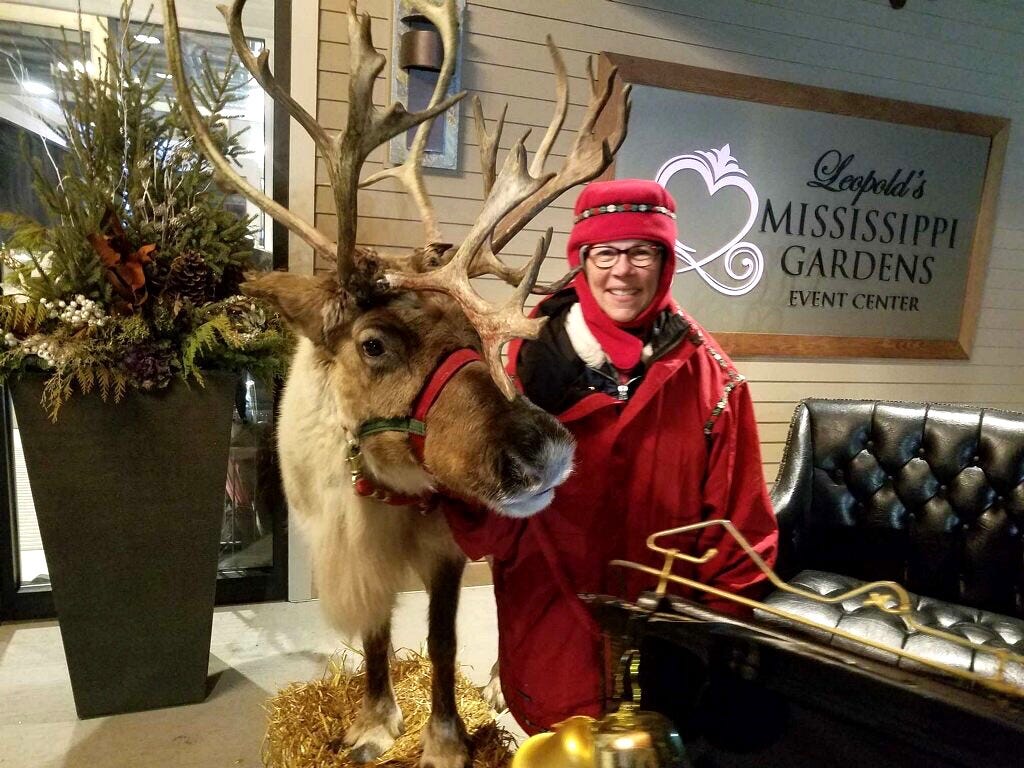 Reindeer Handler — Best Gig Ever? You Decide | by Cat Strav | The ...