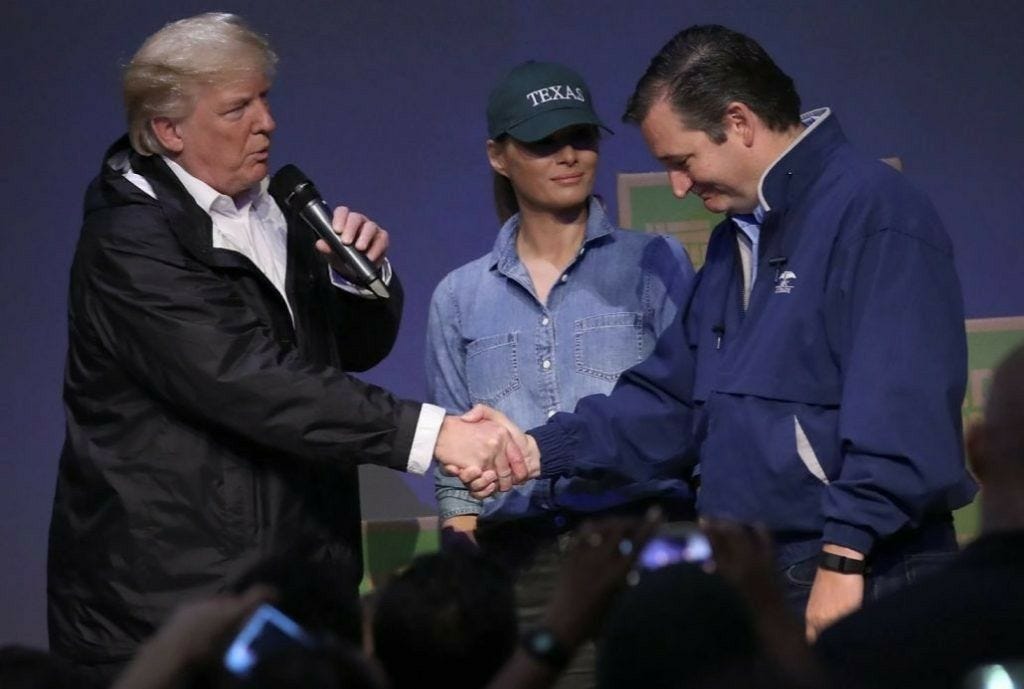 Ted Gets Craven …. As a whiny-ass juvenile jackal put in… | by Matthew B. | Resistance Poetry ...