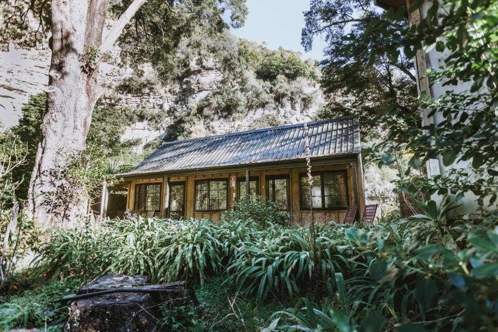 Discover the Beauty of the River Valley Lodge in Thames: A Travel Guide ...