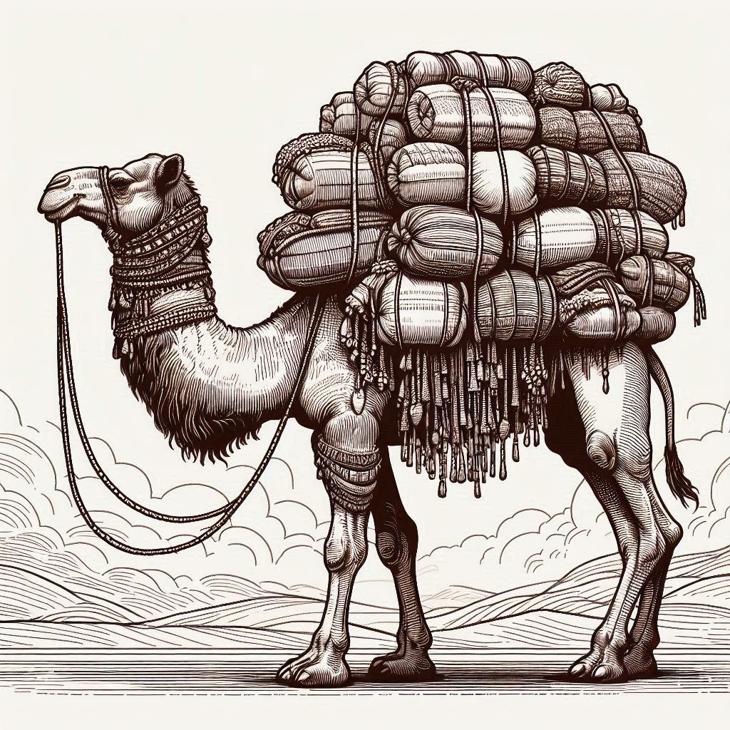 Becoming Nietzsche’s Camel. Embracing Responsibility for a… | by Roy D ...