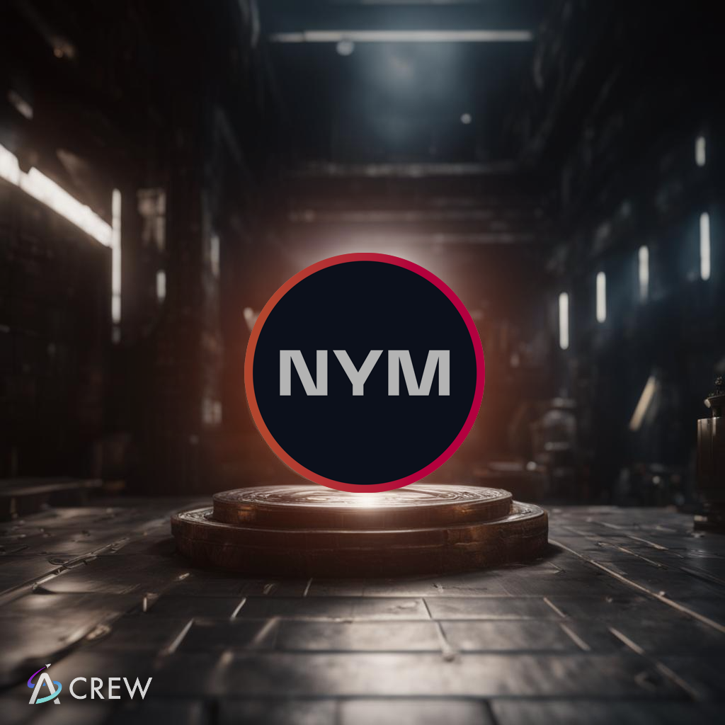 Nym Network: Revolutionizing Internet Privacy | by AlP | AS | Medium