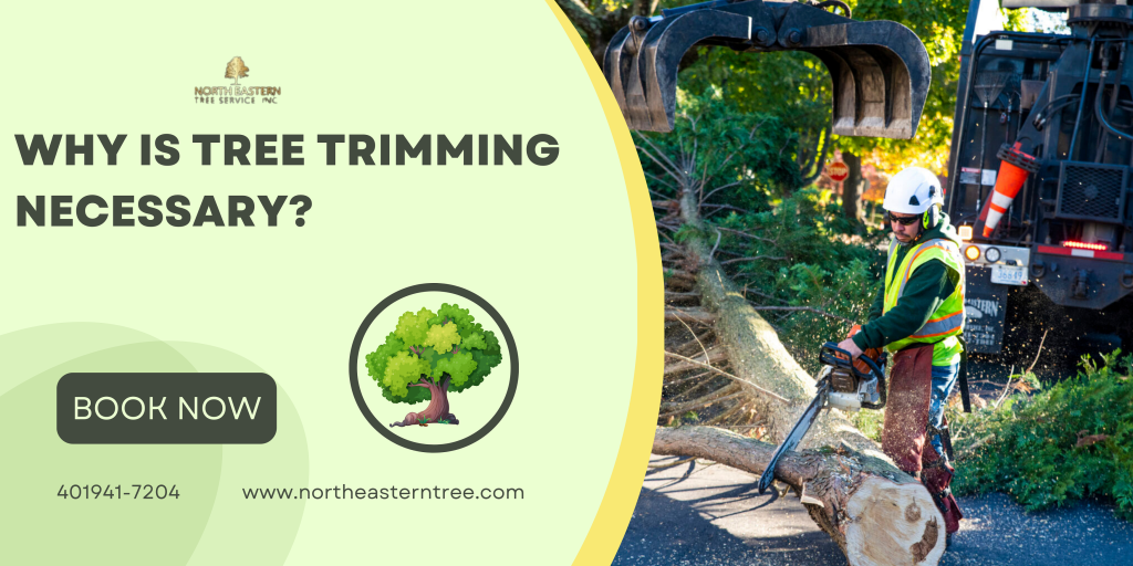 Why is Tree Trimming Necessary?. Even if you might believe it is… | by North Eastern Tree ...
