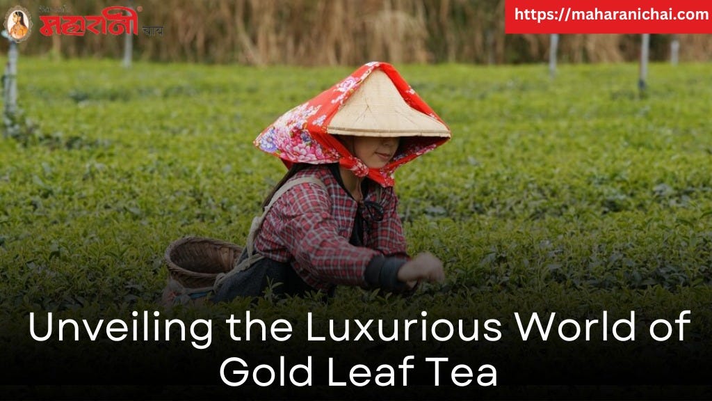 Unveiling the Luxurious World of Gold Leaf Tea - Maharani Chai - Medium