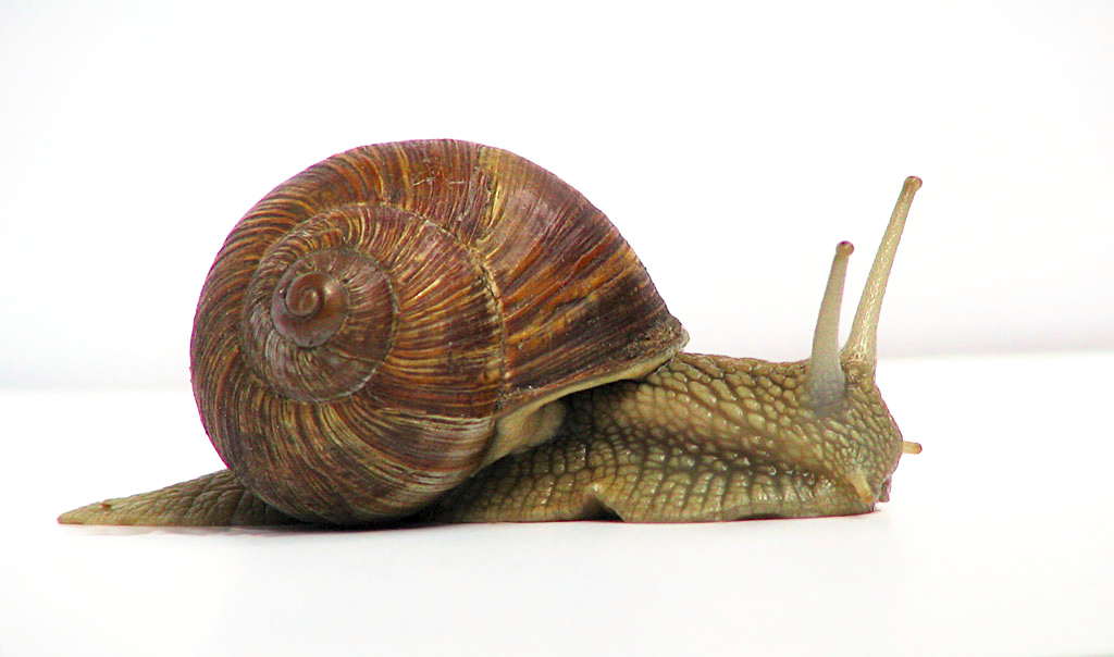 A Quick Introduction To Slow Feature Analysis By Hlynur Dav A Quick Introduction To Slow Feature Analysis By Hlynur Dav