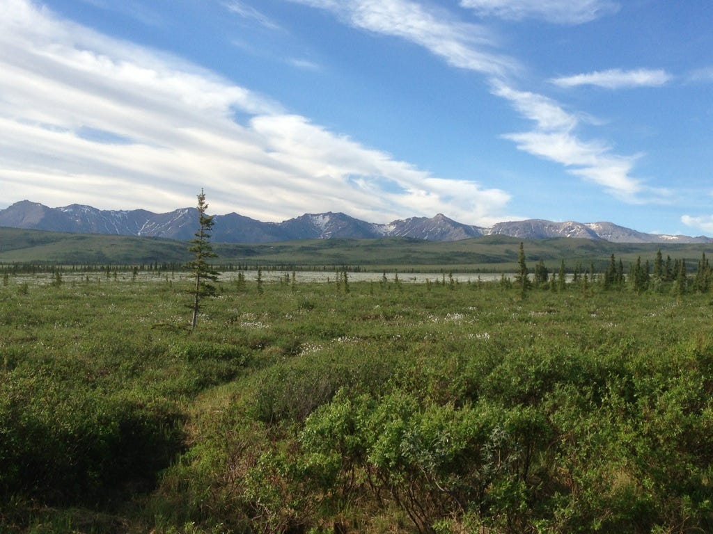 From an Arizona Classroom to an Alaska Cabin: A Professor Takes a ...