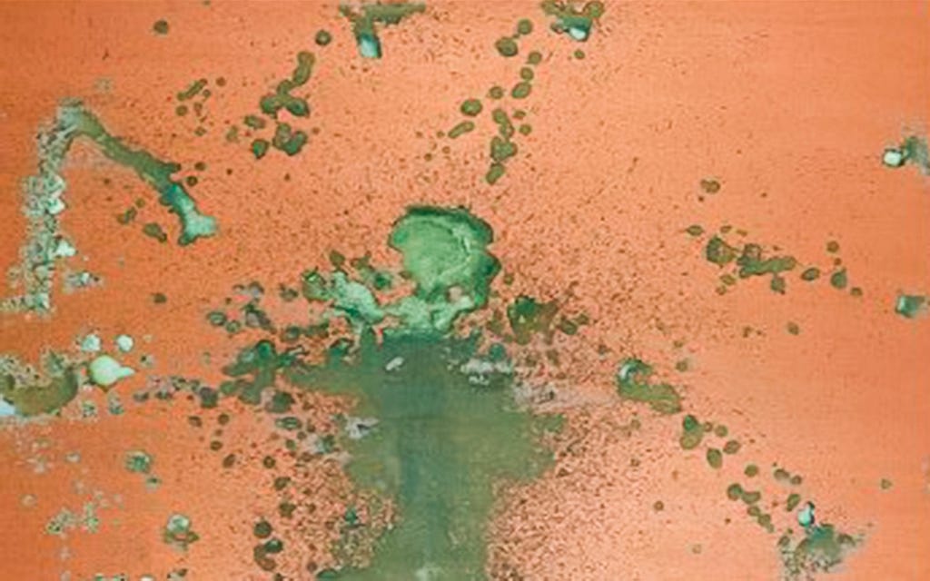 Oxidative paints made with urine, by Andy Warhol. - Volfredo Camacho ...