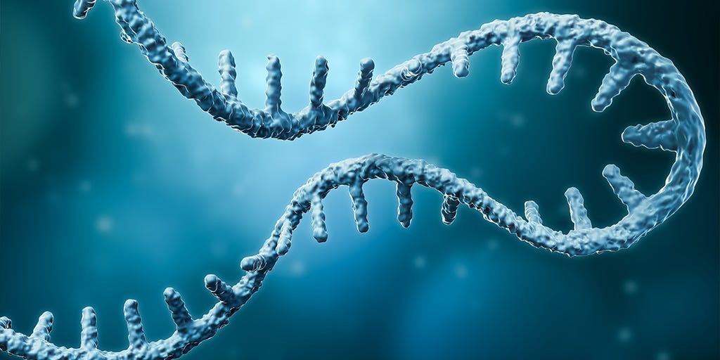 Finding Secondary Structure Of Rna Using Dynamic Programming Over