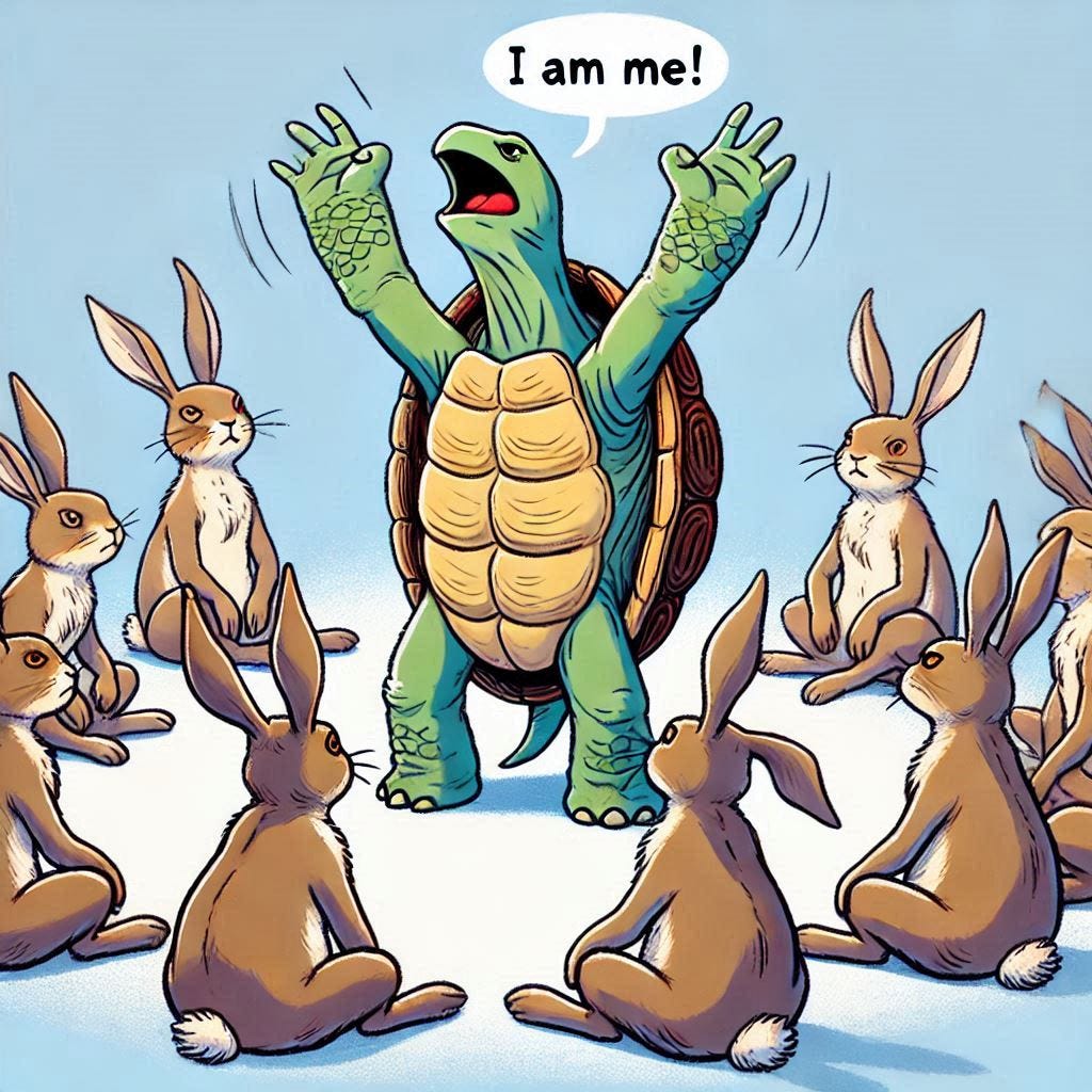 Turtle Will Not Be Usurped. Advocate for yourself | by Cheryl Laroche ...