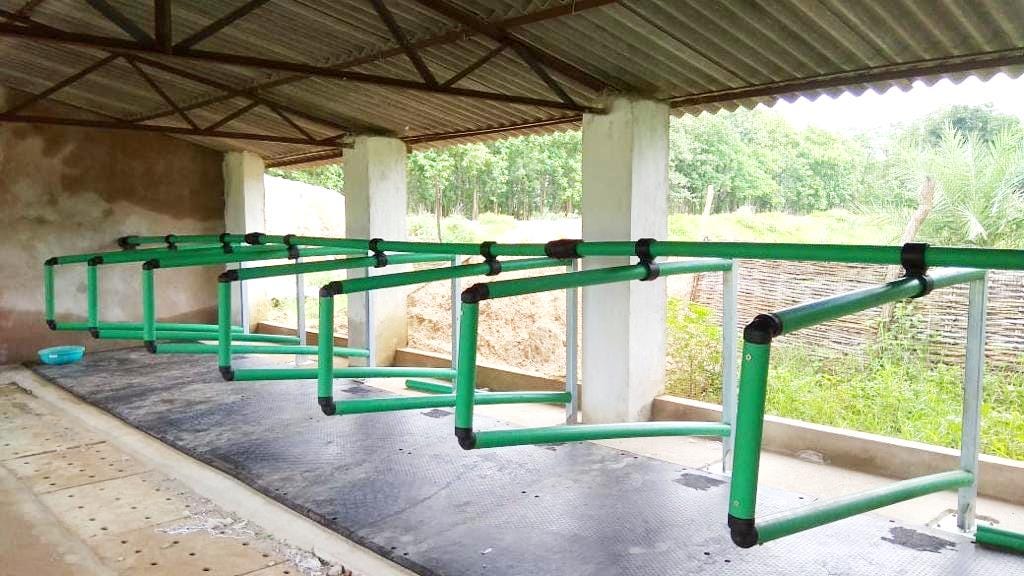 DelFlex. Flexible Cubicle system for Livestock ( Cows & Buffaloes ) | by Delmergroup | Medium