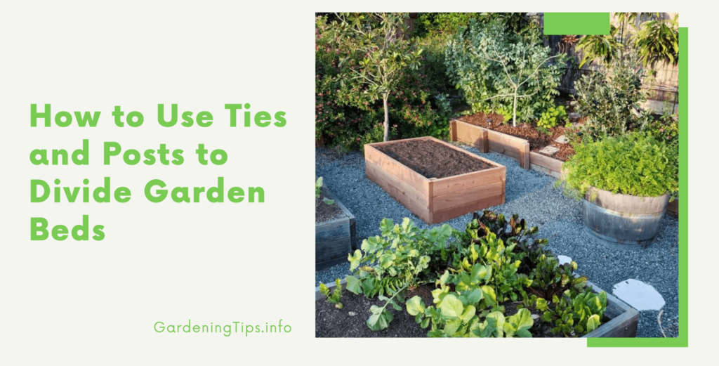 How to Use Ties and Posts to Divide Garden Beds - Gardening tips - Medium
