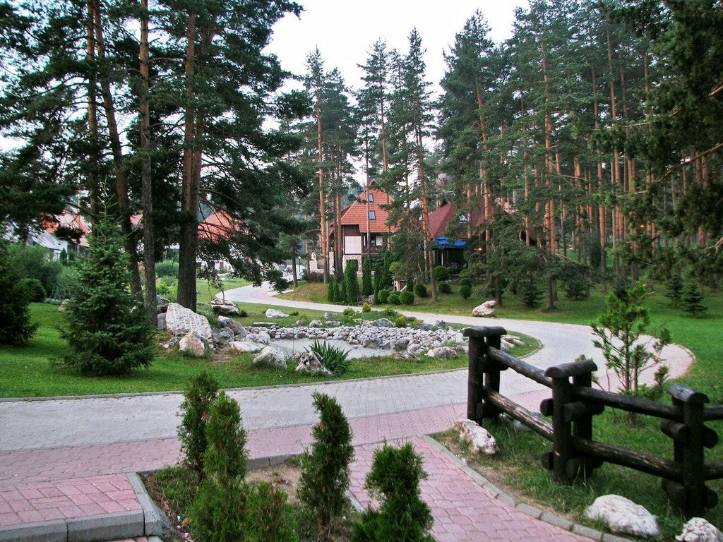 Zlatibor. Zlatibor predstavlja najposećenije… | by Najlepša mesta u ...