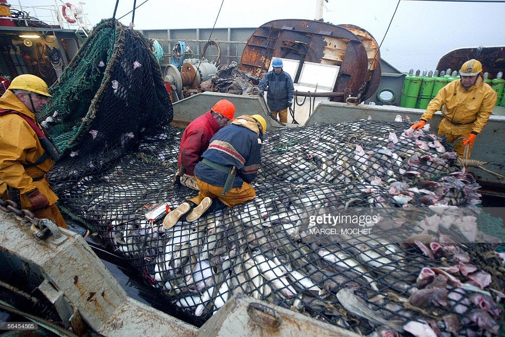 Sustainability Trends in Cod Fishing in the Barents Sea | by Brian D ...