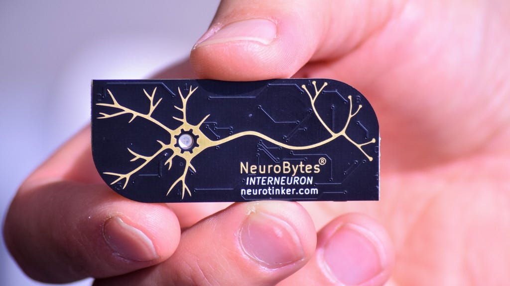 Design and Modify a Simulated Brain Using NeuroBytes | by Hackster ...
