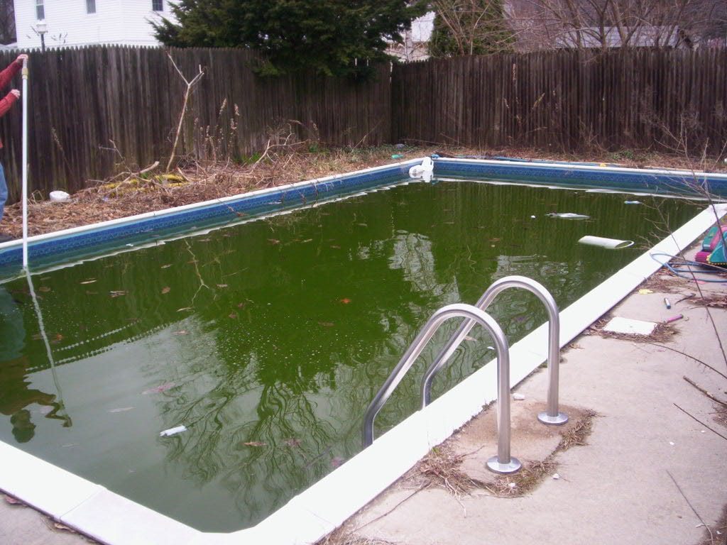 Dirty Inground Pool
