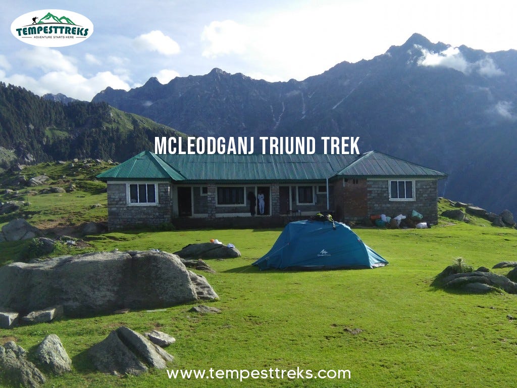 A Small And Quick Guide On Mcleodganj Triund Trek - Tempest Treks - Medium
