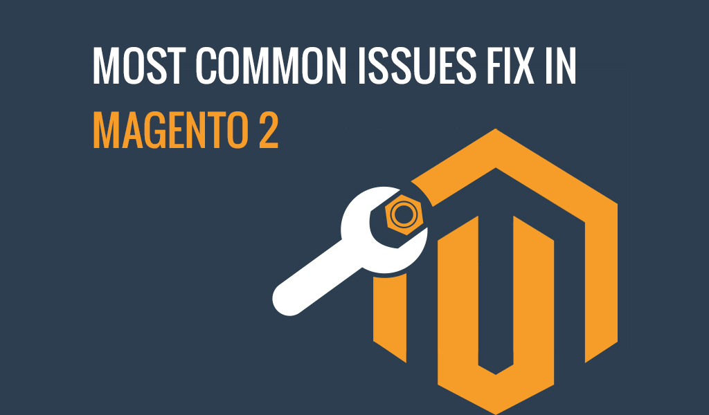 What the commonly faced issues in Magento Store and how to fix them ...