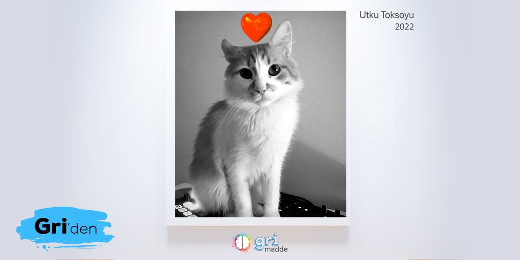 Gri Madde: Utku Toksoyu. “Setup’ımın adı DJ Tracktor olduğu için… | by ...