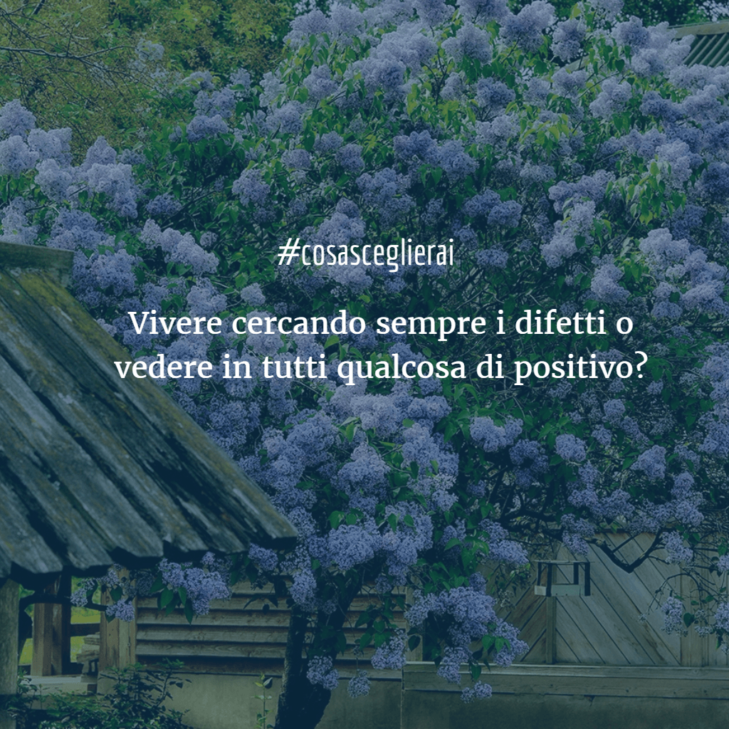 #cosasceglierai: vivere cercando sempre i difetti o vedere in tutti ...