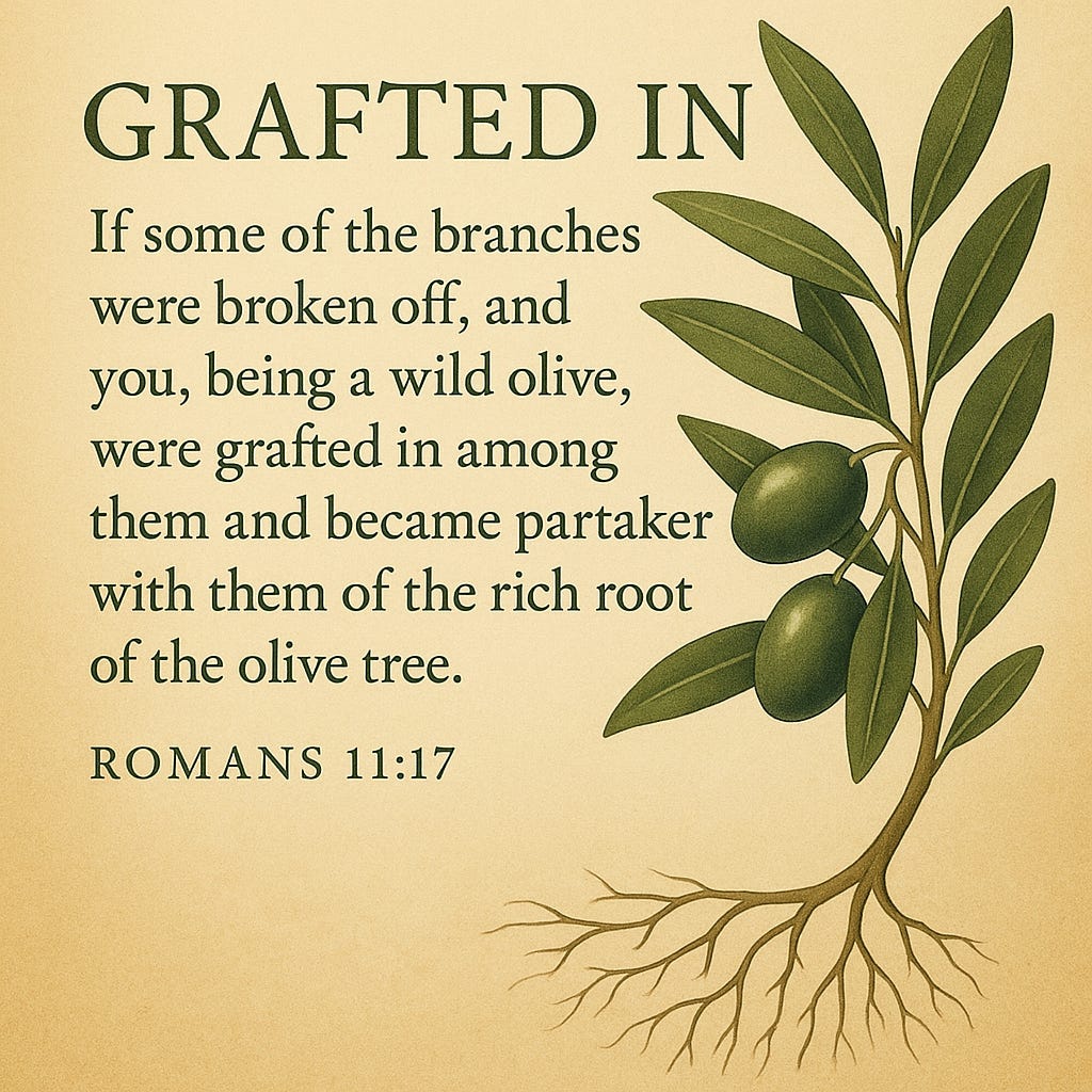 Grafted In: The Miracle of Belonging | by Eternal Grace | May, 2025 ...