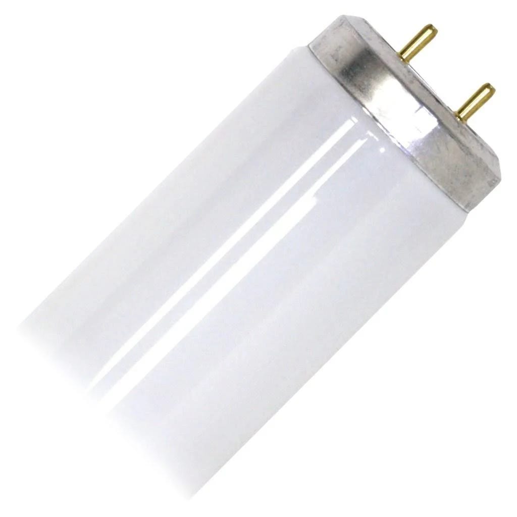 T12 Light Bulbs. A beacon of illumination in the world… | by Isabella ...