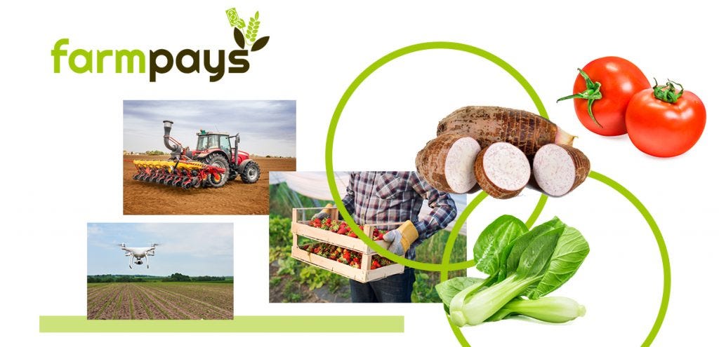StartUp Spotlight: Farmpays. Farmpays is Nigeria’s best Online… | by ...