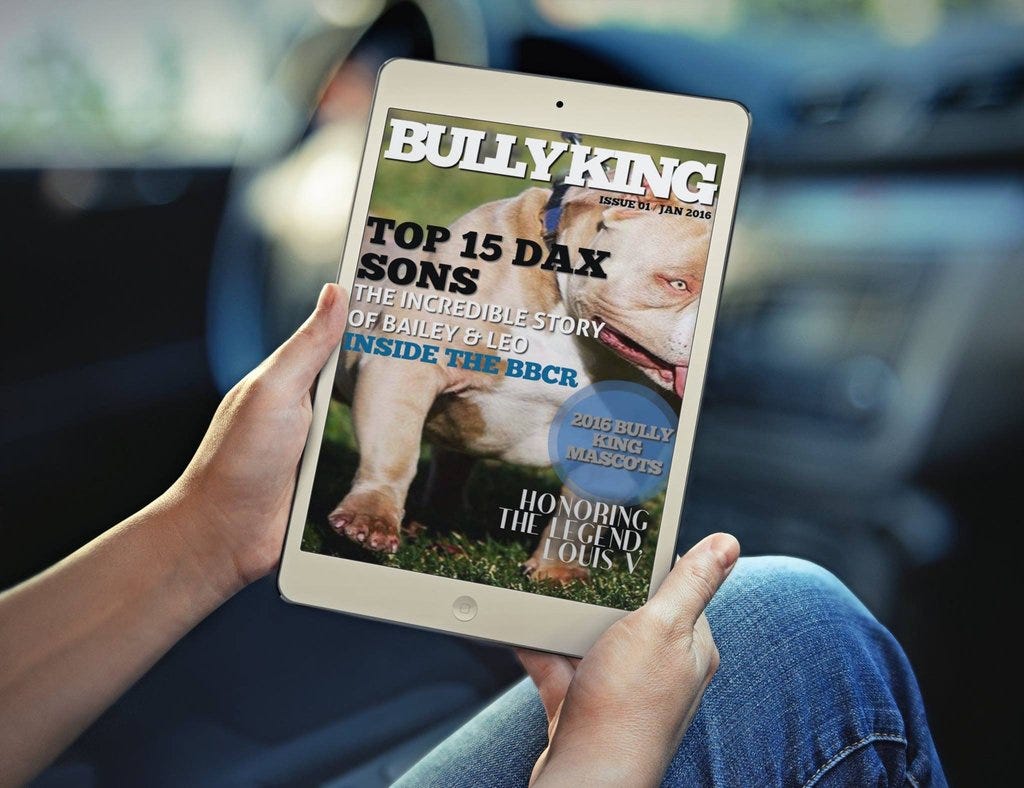 The BULLY KING App: Download In The App Store & On Google Play! | by ...